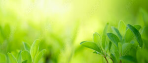 E-statements – Commercial Bank